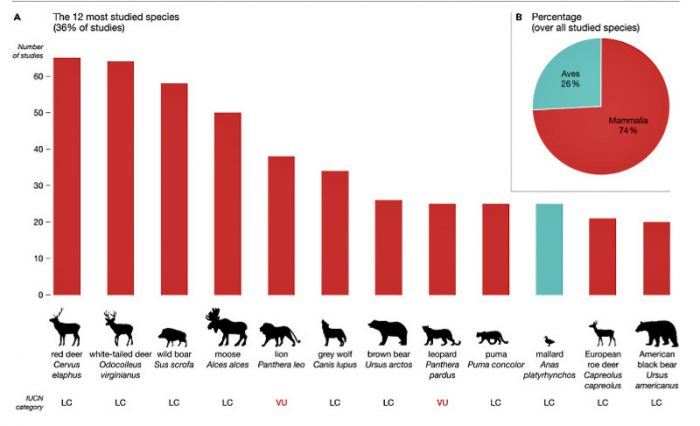 A Conservation Paradox–The pros and cons of recreational hunting ...