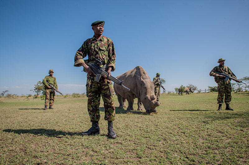 How do we Fund Wildlife Conservation? - Conservation Frontlines